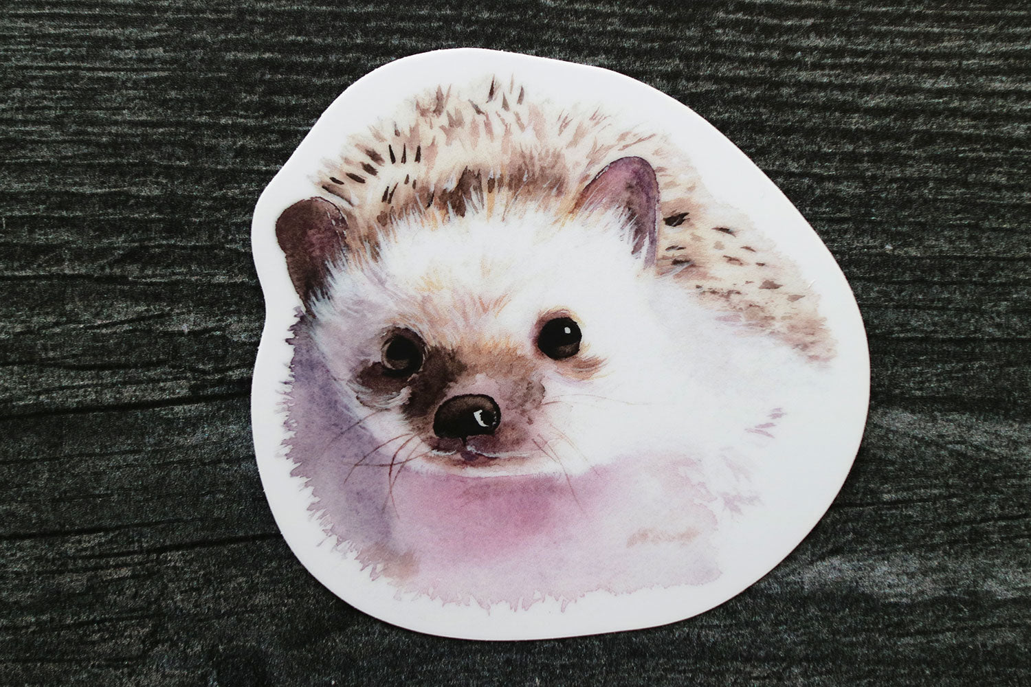 Handsome Hedgehog – Jennifer Elizabeth Studios