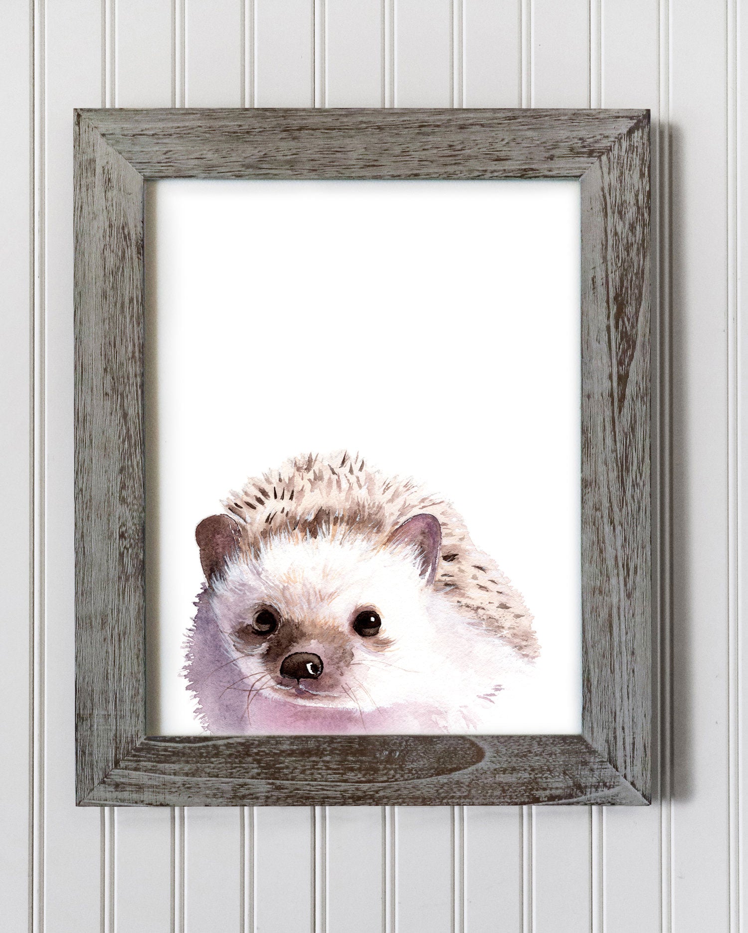 Handsome Hedgehog – Jennifer Elizabeth Studios
